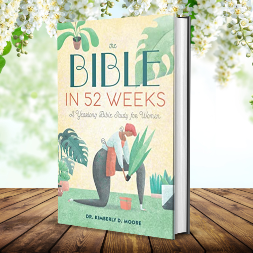 The Bible in 52 Weeks: A Yearlong Bible Study for Women by D | Inspire ...