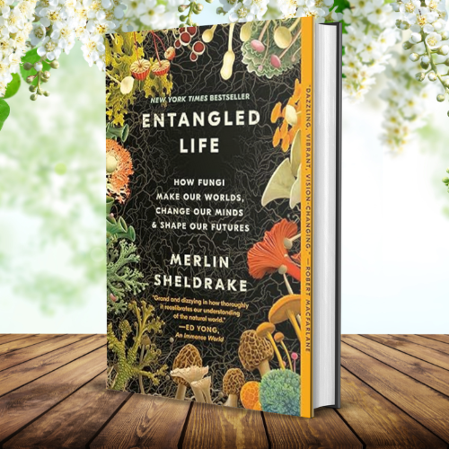 Entangled Life: How Fungi Make Our Worlds, Change Our Minds | Inspire ...