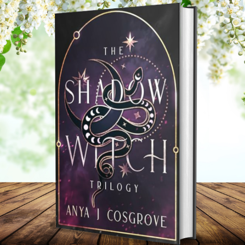 The Shadow Witch Trilogy: The Complete Series Box Set by Any | Inspire ...