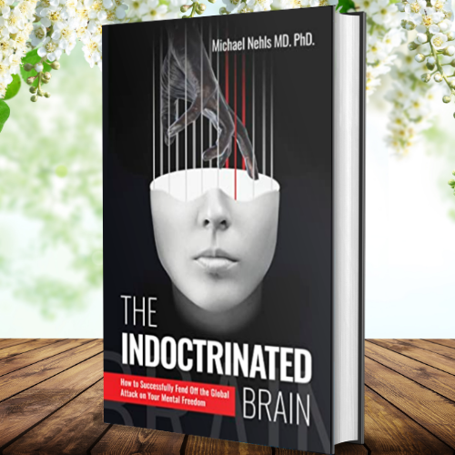 The Indoctrinated Brain: How to Successfully Fend Off the Gl | Inspire ...