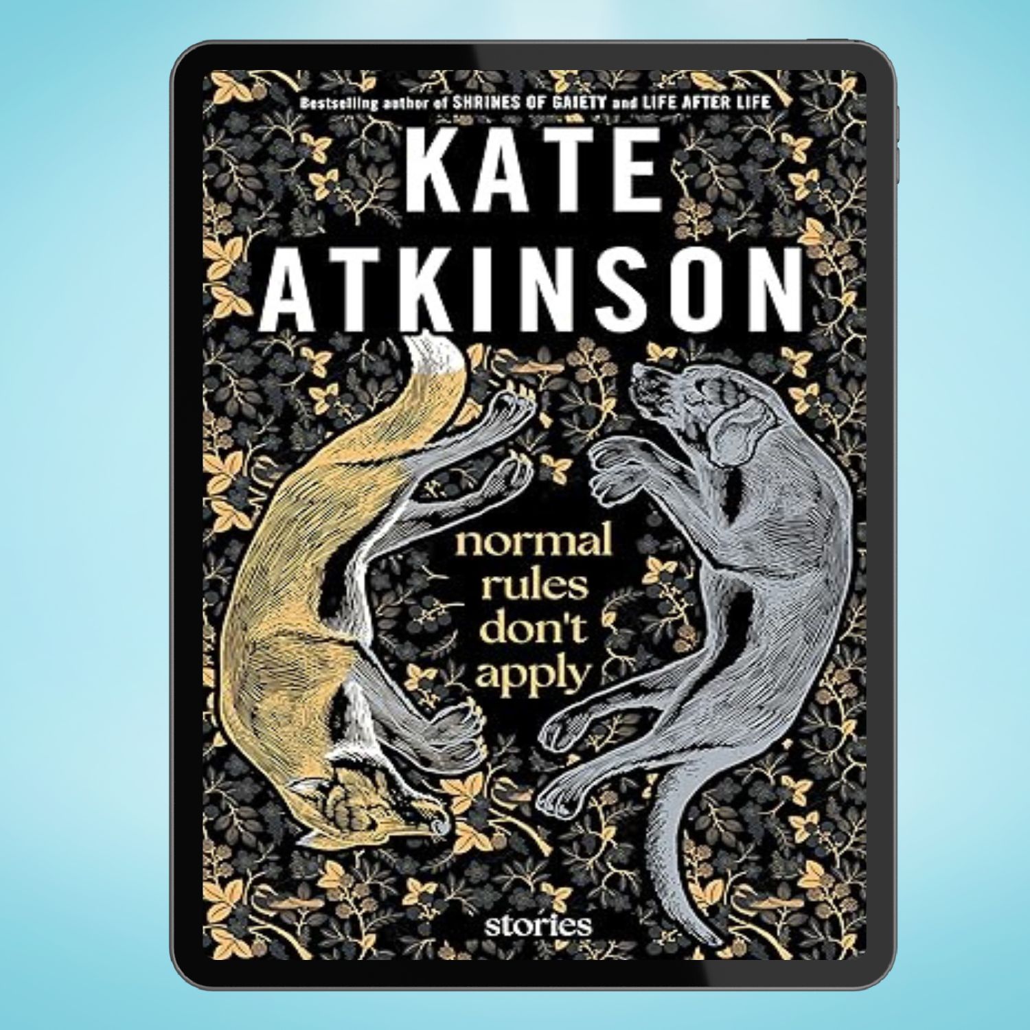 Normal Rules Don't Apply: Stories - Inspire Uplift