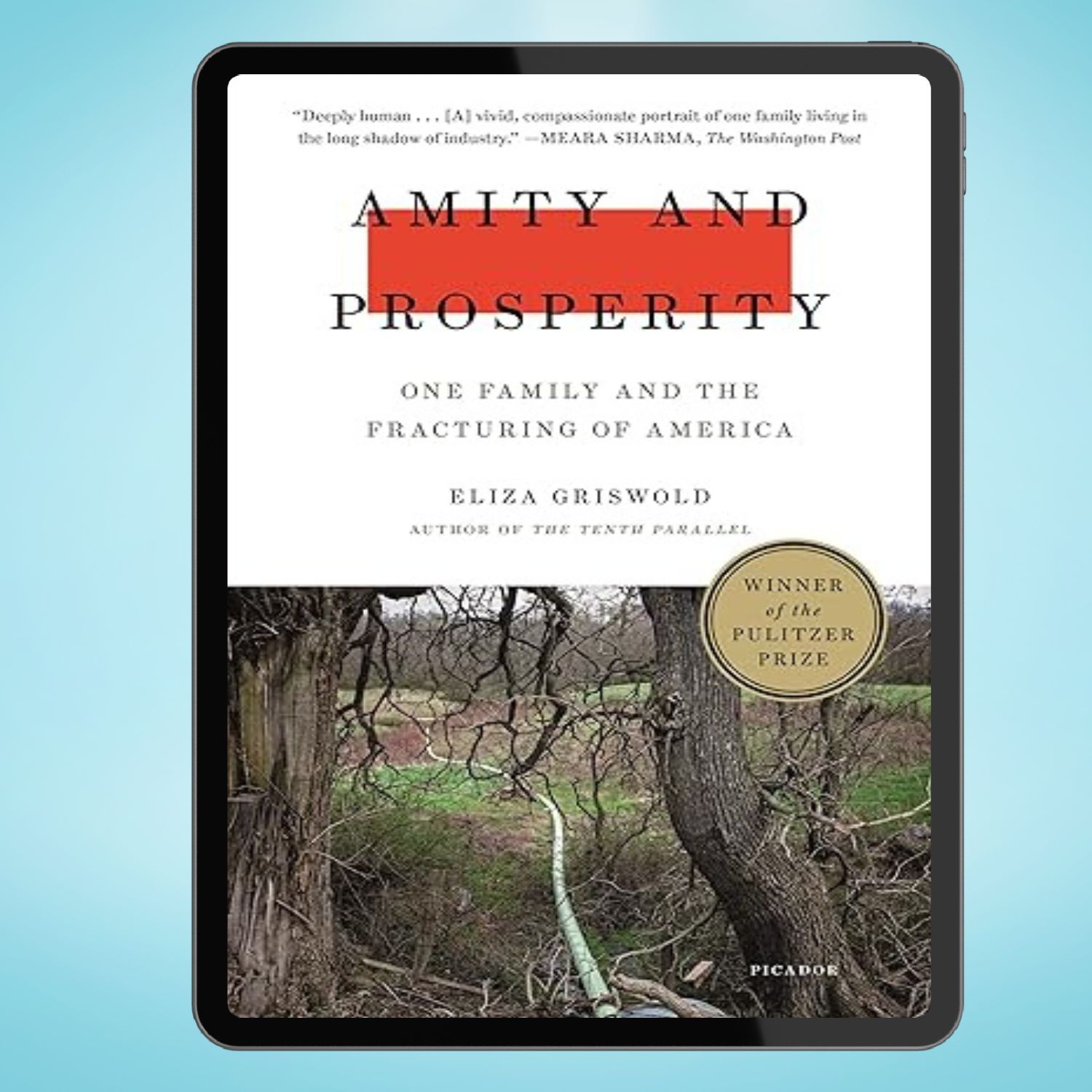 Amity and Prosperity: One Family and the Fracturing of Ameri | Inspire ...
