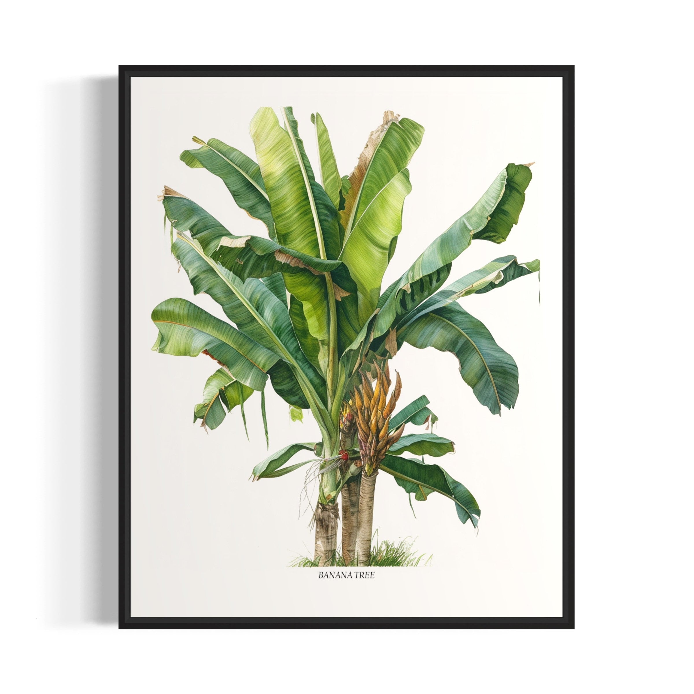 Banana Tree Art Print, Banana Tree Wall Art Poster - Inspire Uplift