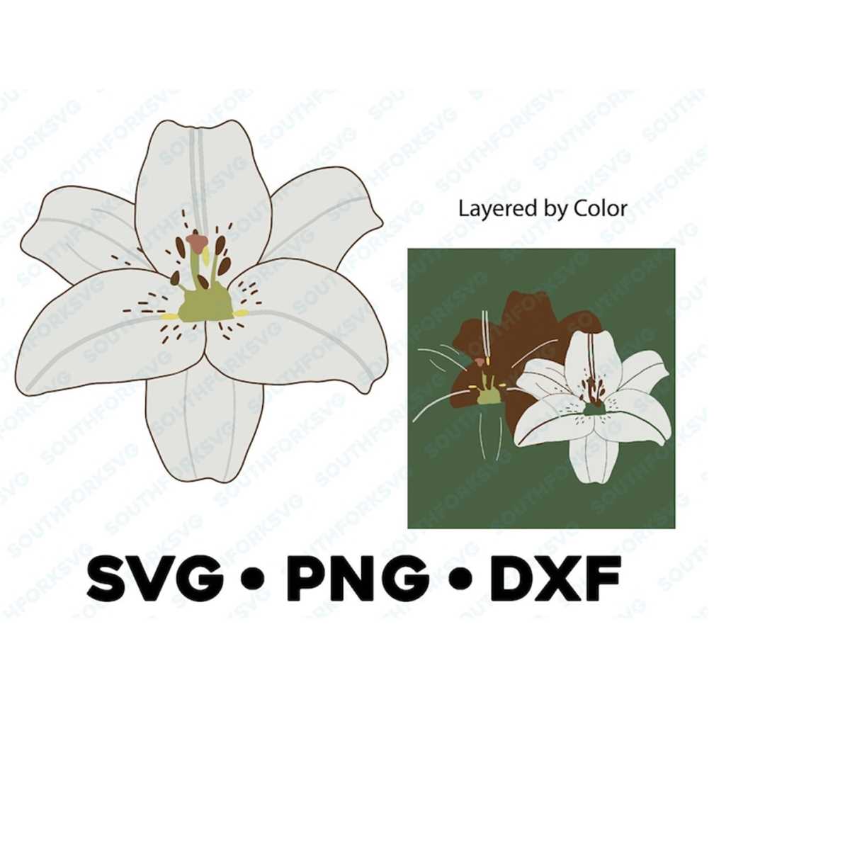 White Lily SVG PNG DXF Layered by Color Cut File Silhouette | Inspire ...