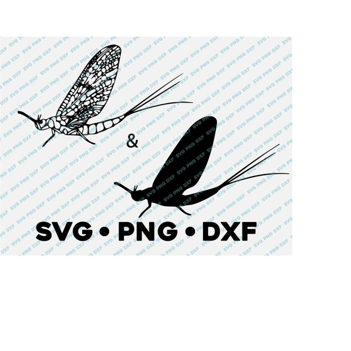Mayfly SVG PNG DXF vector transparent cameo silhouette cut f | Inspire ...