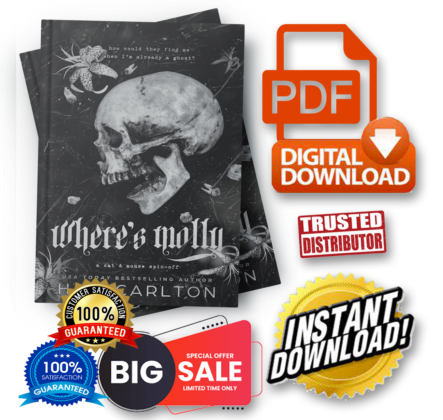 Where's Molly | Inspire Uplift