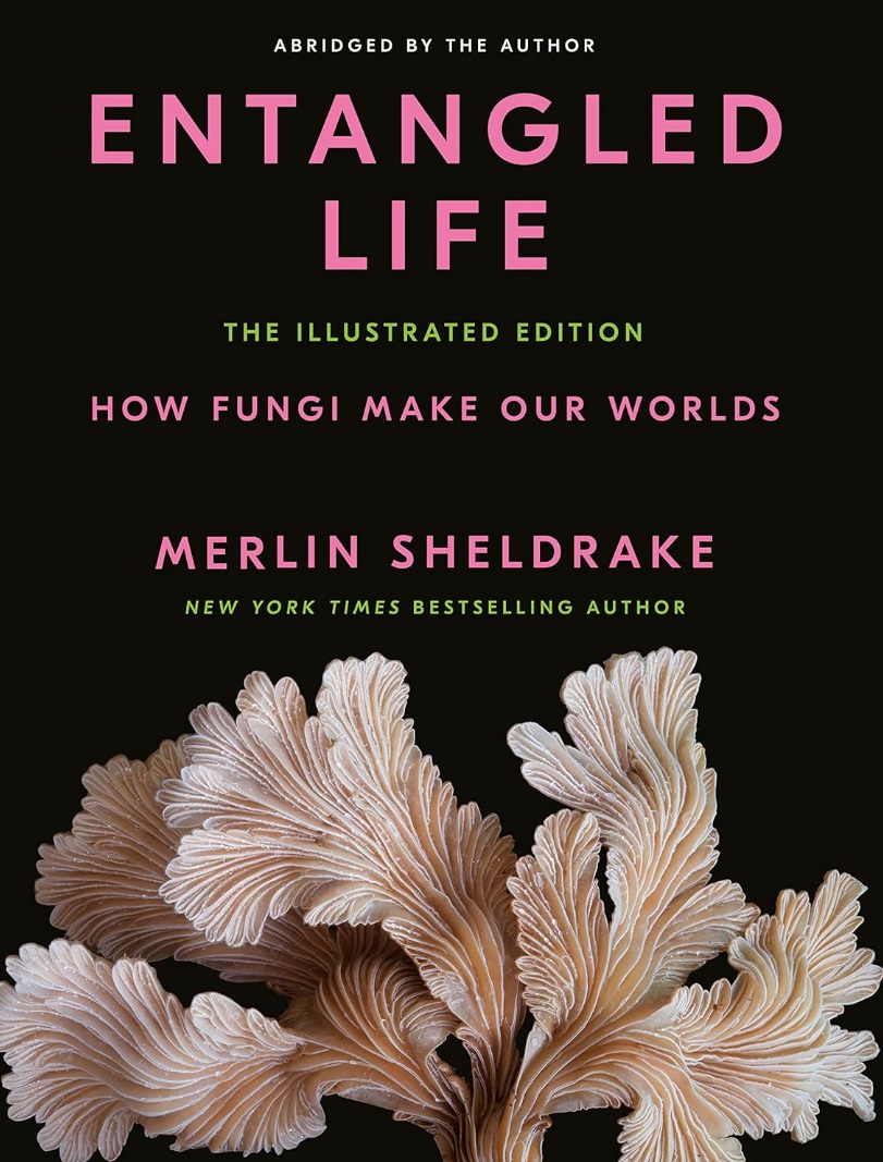 Entangled Life The Illustrated Edition How Fungi Make Our Wo | Inspire ...