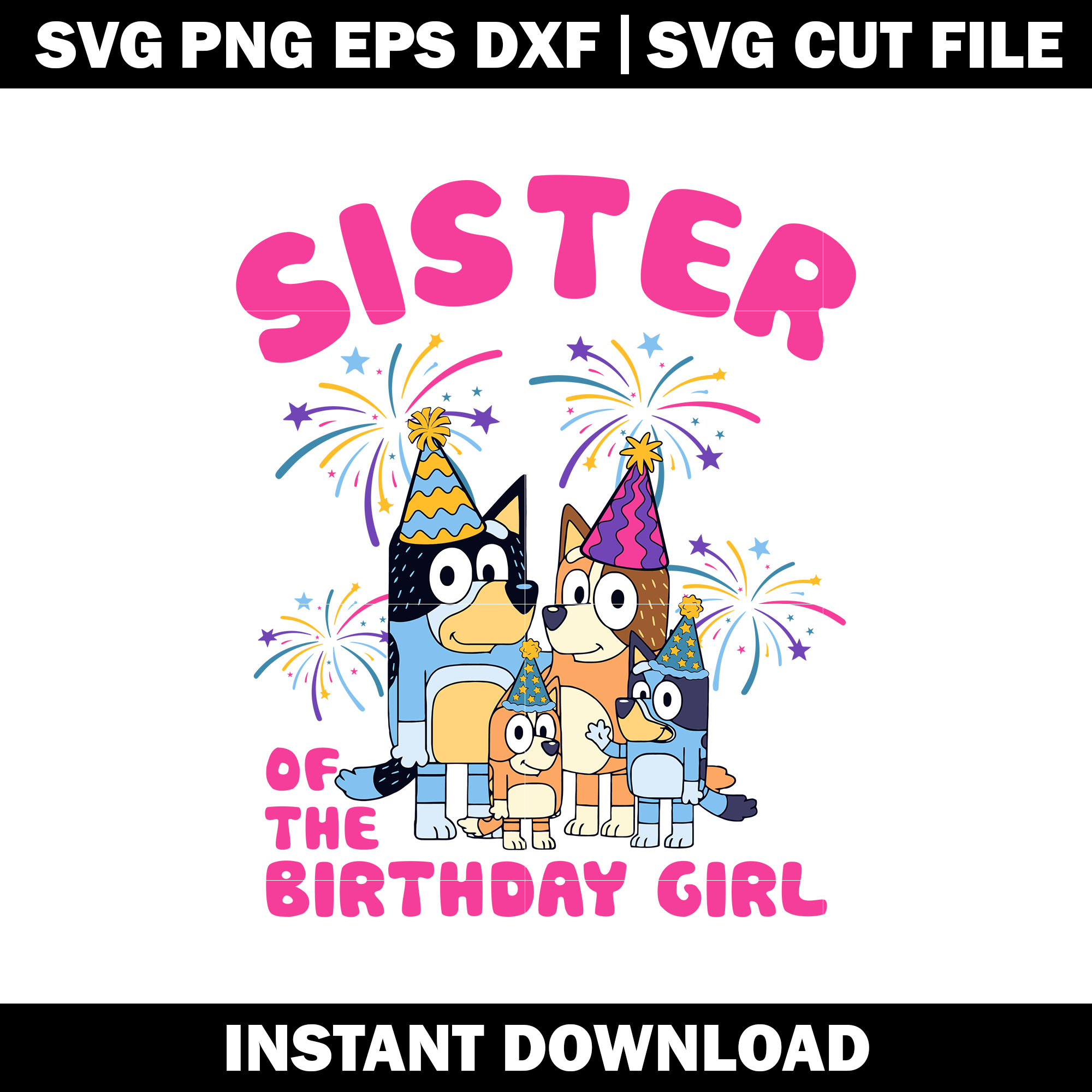 Bluey sister of the birthday girl SVG,Bluey cartoon svg, log | Inspire ...