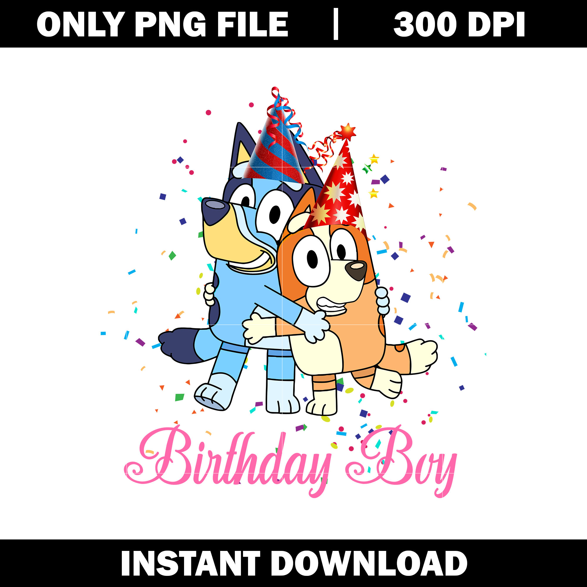 Bluey Bingo Birthday Boy Png Bluey Cartoon Png Logo File P Inspire