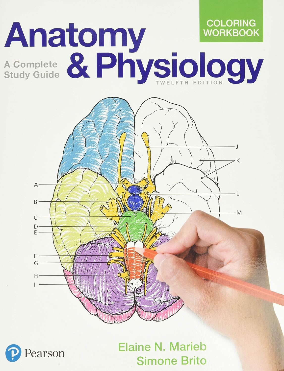 Anatomy and Physiology Coloring Workbook: A Complete Study G | Inspire ...