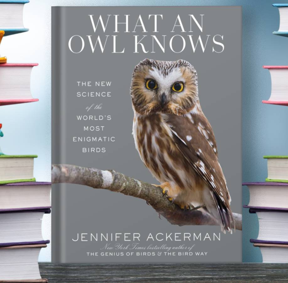 What an Owl Knows The New Science of the World's Most Jennif | Inspire ...