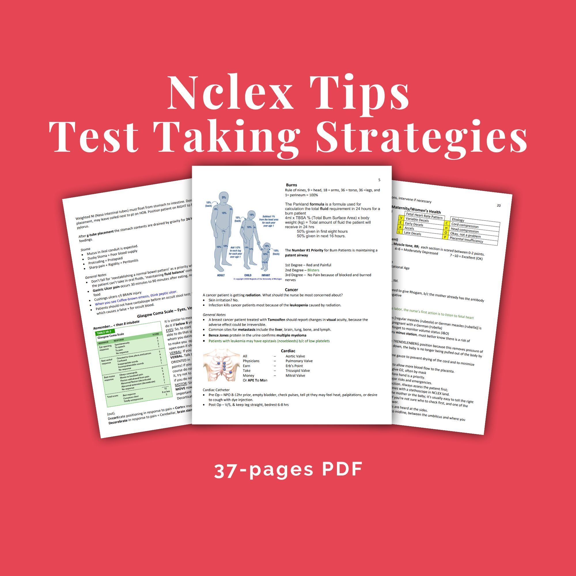 NCLEX TIPS, Test Taking Strategies, 37 Pages, Digital Downlo | Inspire ...