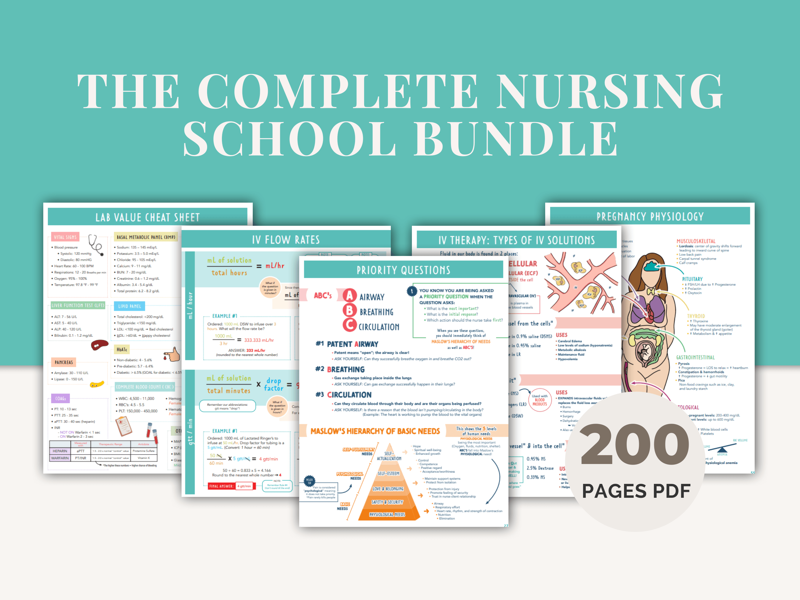 The Complete Nursing School Bundle, 200+ Pages, Digital Down | Inspire ...