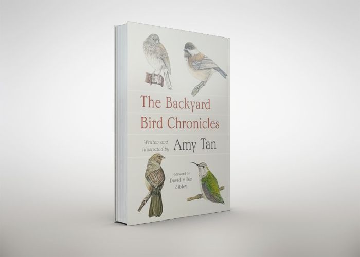 The Backyard Bird Chronicles by Amy Tan | Inspire Uplift