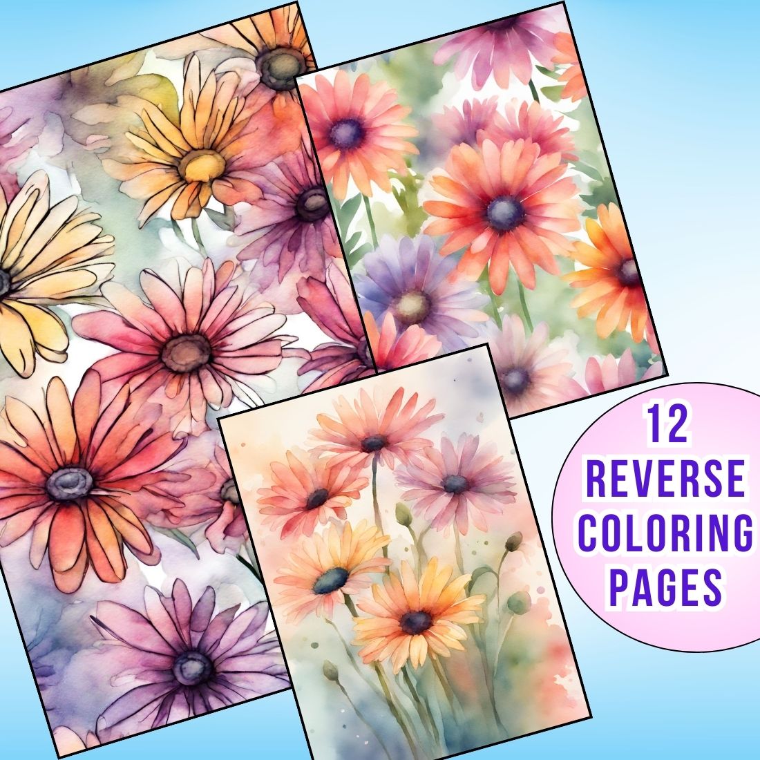 Unleash Your Creativity with Transvaal Daisy Flowers Reverse | Inspire ...