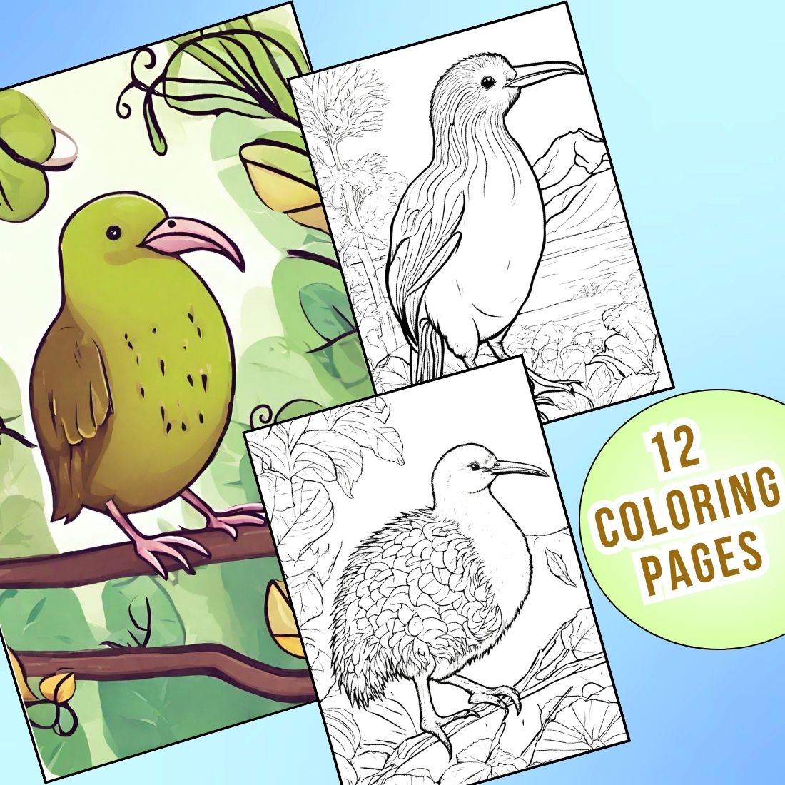12 Adorable Kiwi Bird Coloring Pages That Will Brighten Your - Inspire ...