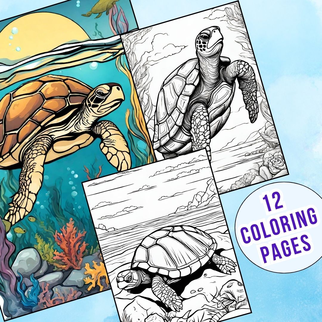 12 Amazing Turtle Coloring Pages | Inspire Uplift