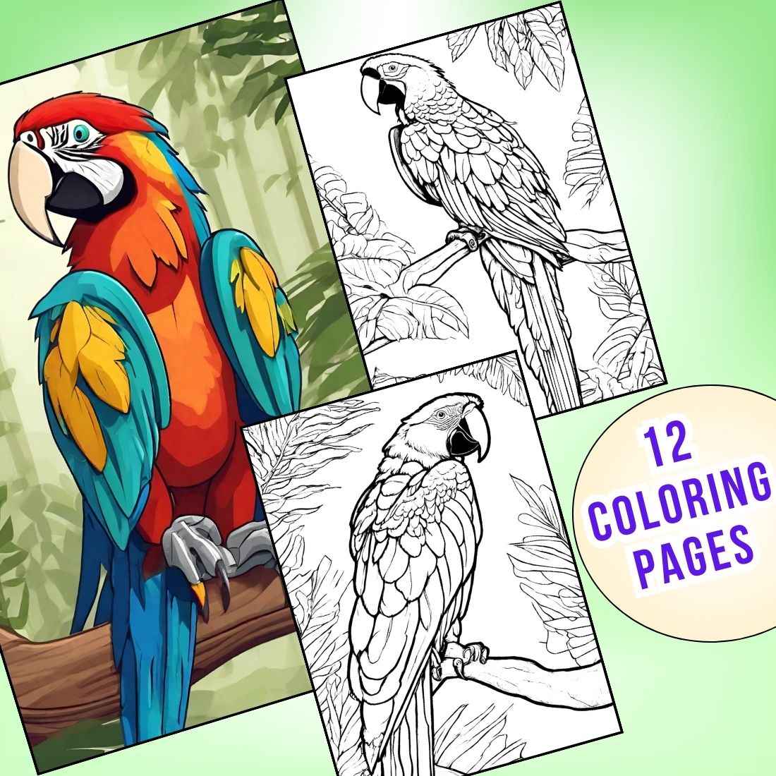 12 Adorable Macaw Parrot Coloring Pages to Bring Joy and Col - Inspire ...
