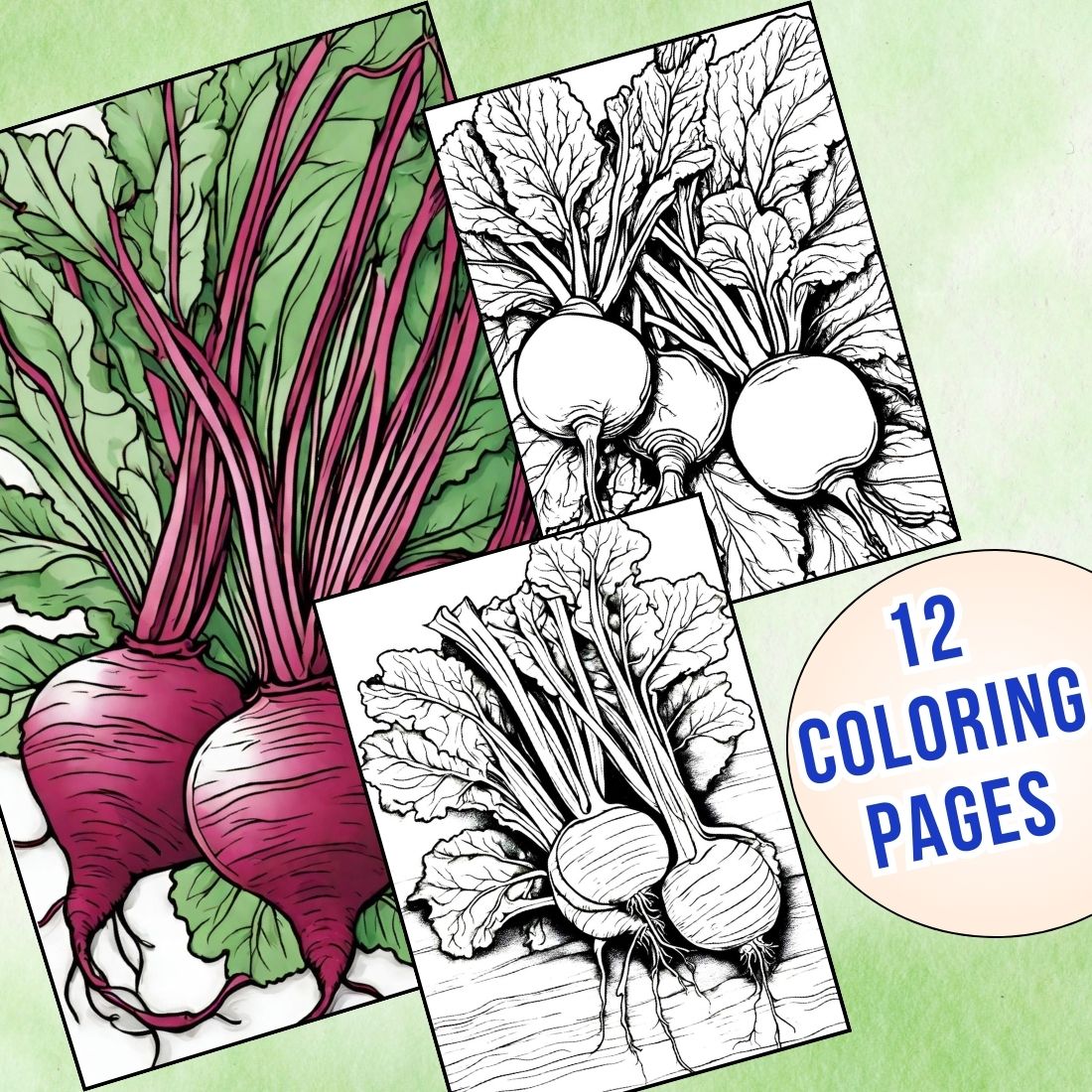 Printable Beetroot Coloring Pages | Color Your Own Vegetable | Inspire ...