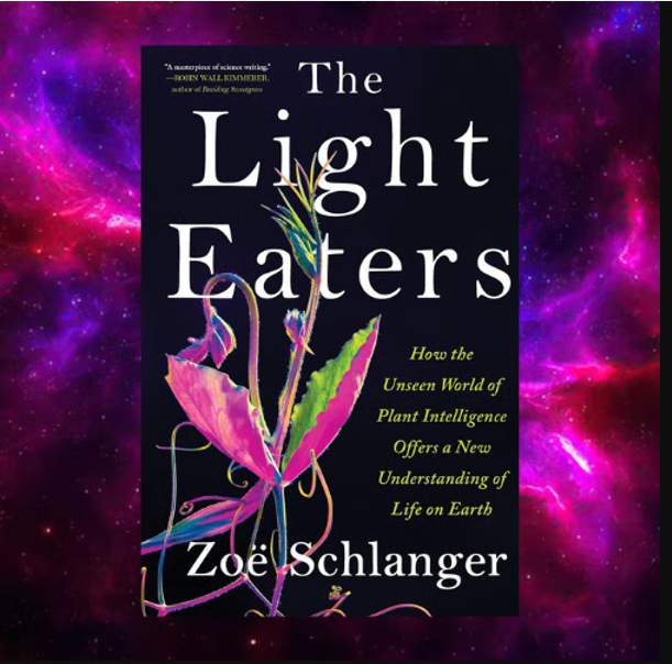 The Light Eaters: How the Unseen World of Plant Intelligence | Inspire ...