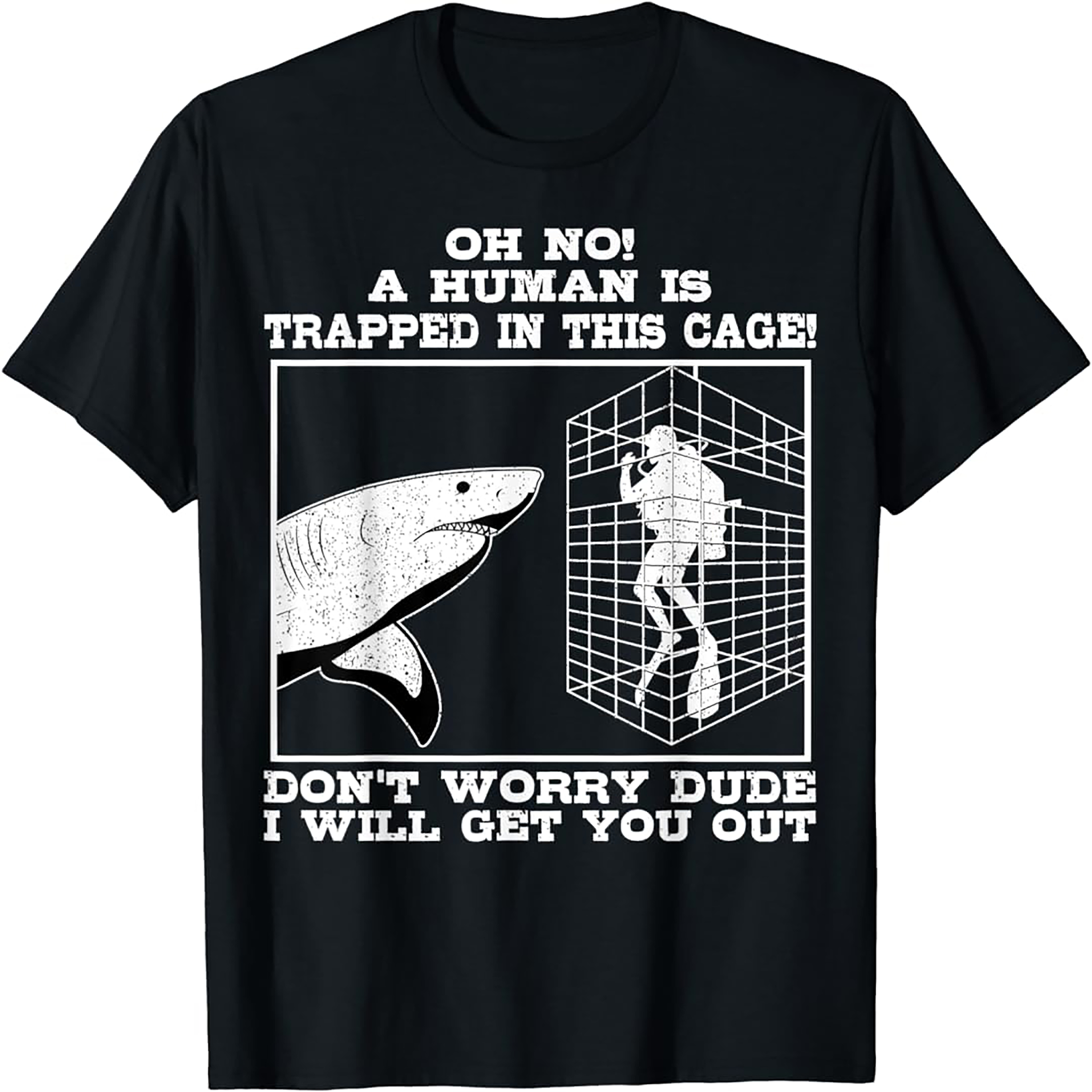 Great White Shark Ocean Biologists Largest Predator Fish, PN | Inspire ...