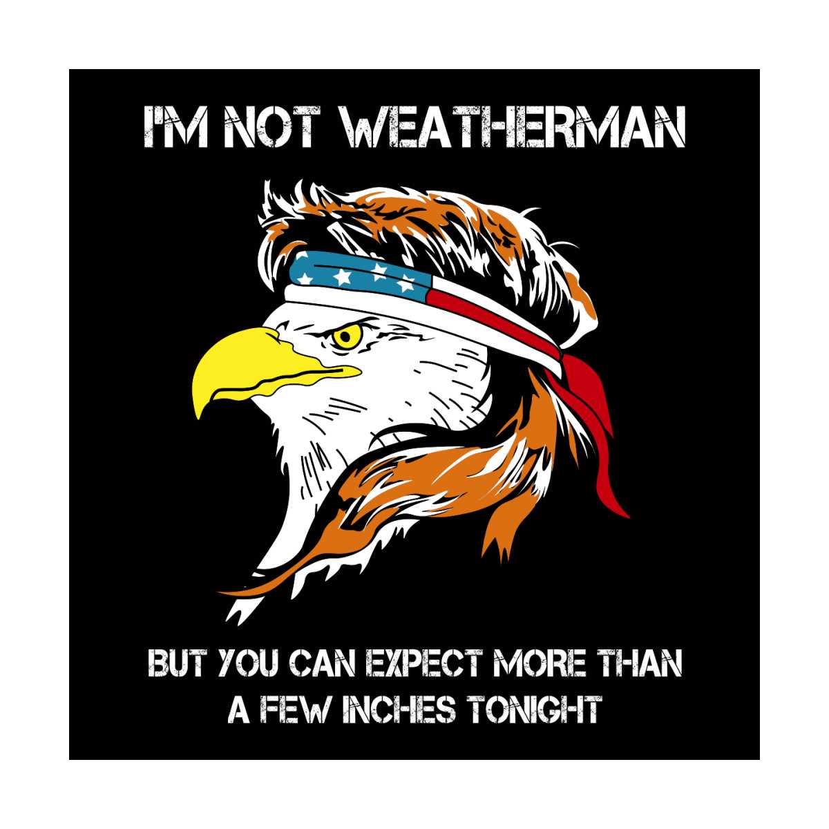 Im Not Weatherman American Eagle Svg, Trending Svg, Weatherm | Inspire ...