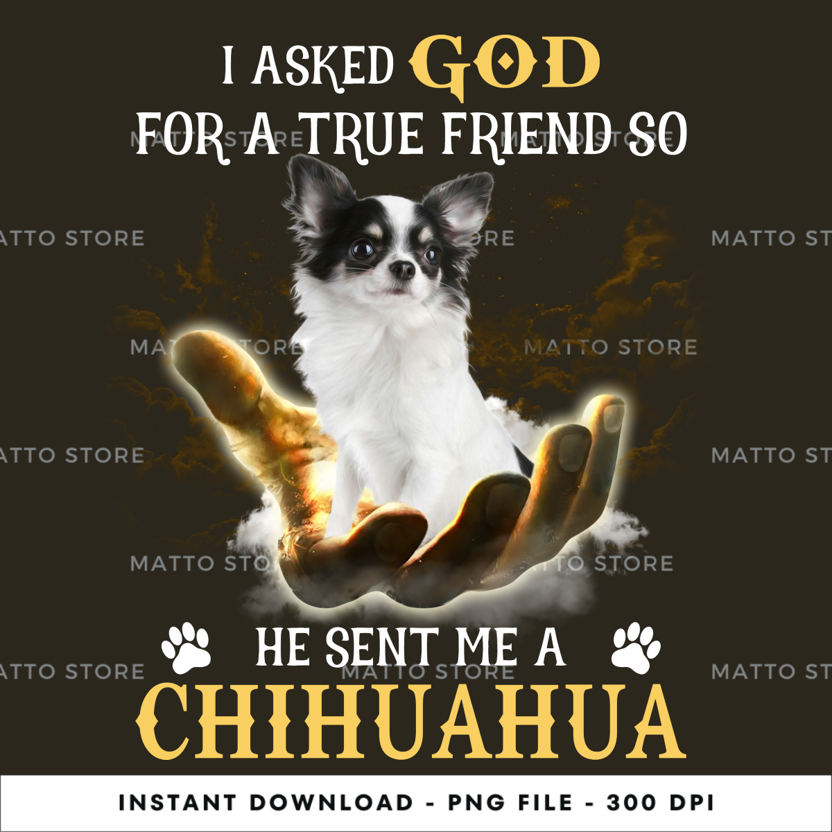 God Hand Long-haired White Chihuahua Cats, Dogdad, Dogs Digi | Inspire ...