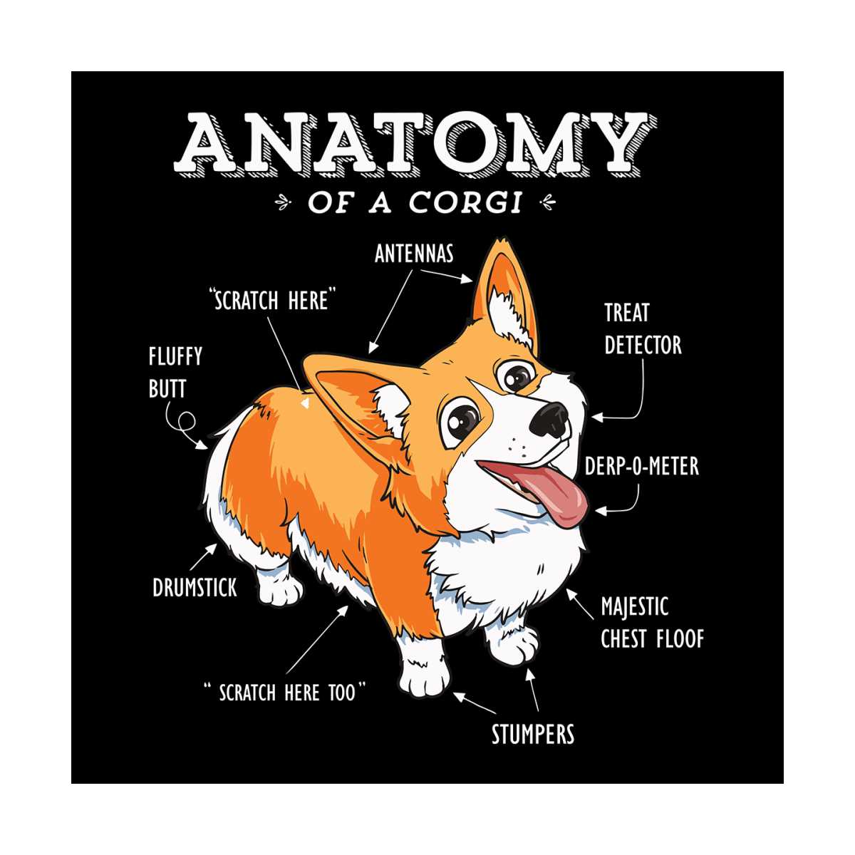 Anatomy of a corgi svg, Anatomy svg, corgi svg, corgi png, c | Inspire ...