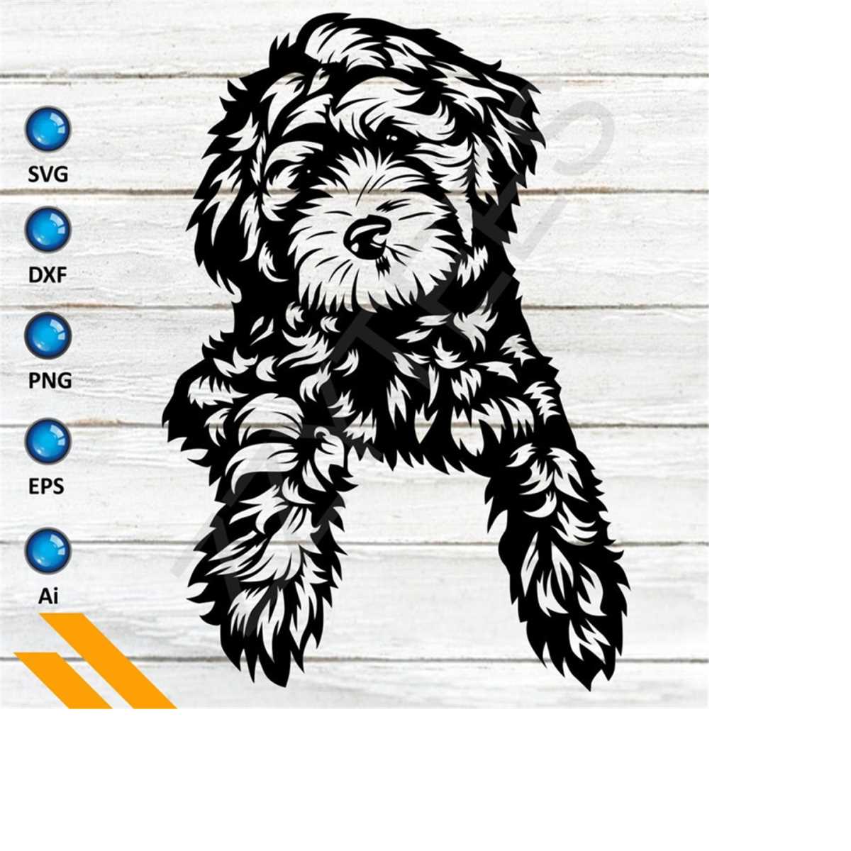 Cute Labradoodle, Australian Labradoodle, Labradoodle Art, B | Inspire ...