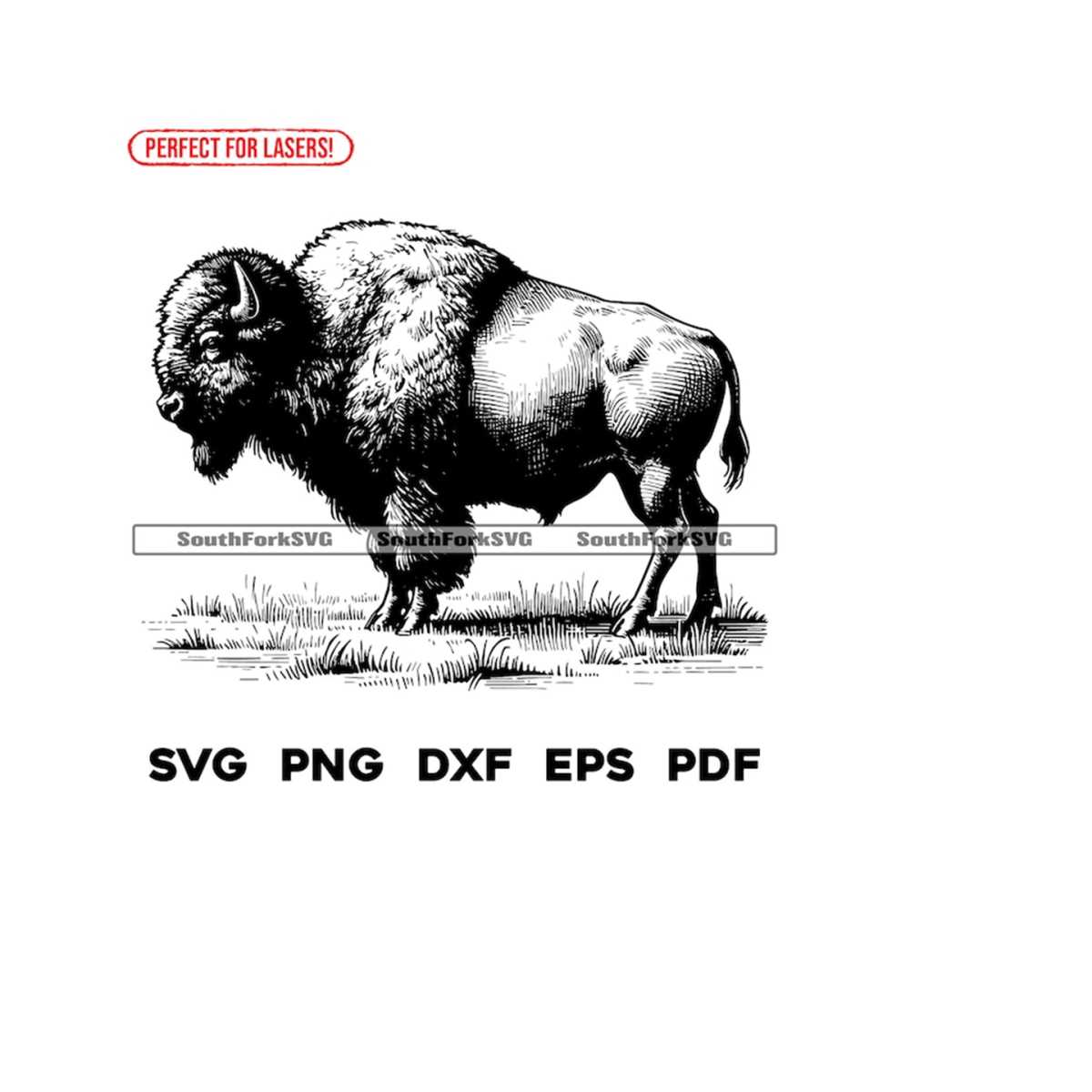 American Bison Laser Engrave Files svg png dxf eps pdf vecto | Inspire ...