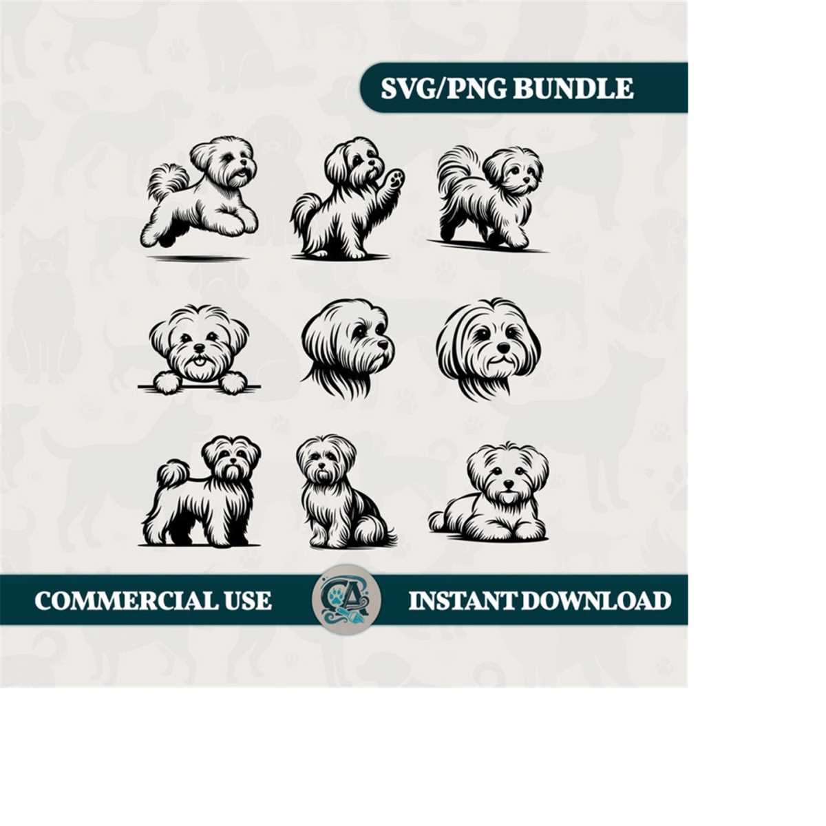 Maltese Maltese Dog SVG BUNDLE PNG Silhouette Clipart Instan | Inspire ...