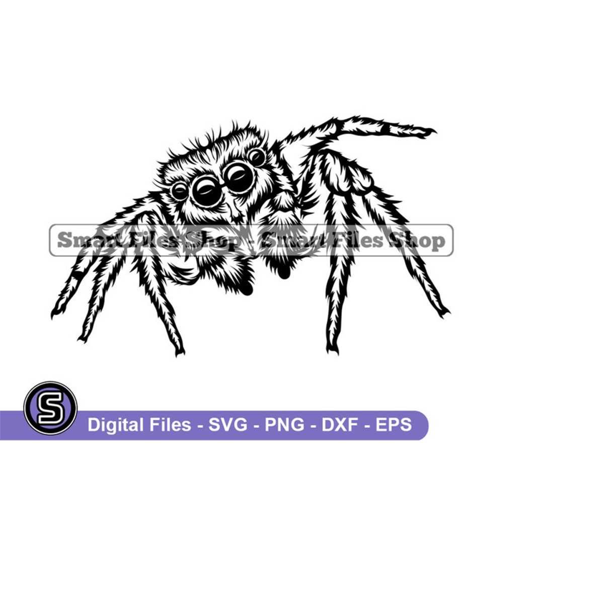 Spider SVG, Spider Design Svg, Spider Dxf, Spider Png, Spide | Inspire ...