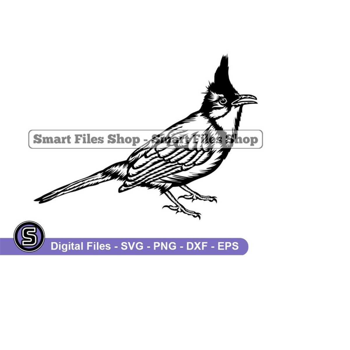 Bulbul Svg, Bird Svg, Bulbul Dxf, Bulbul Png, Bulbul Clipart - Inspire ...
