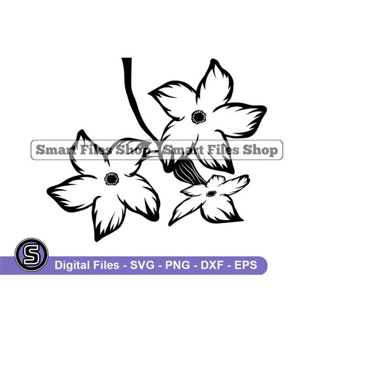 Madagascar Jasmine Flower 2 SVG, Madagascar Jasmine SVG, Flo - Inspire ...