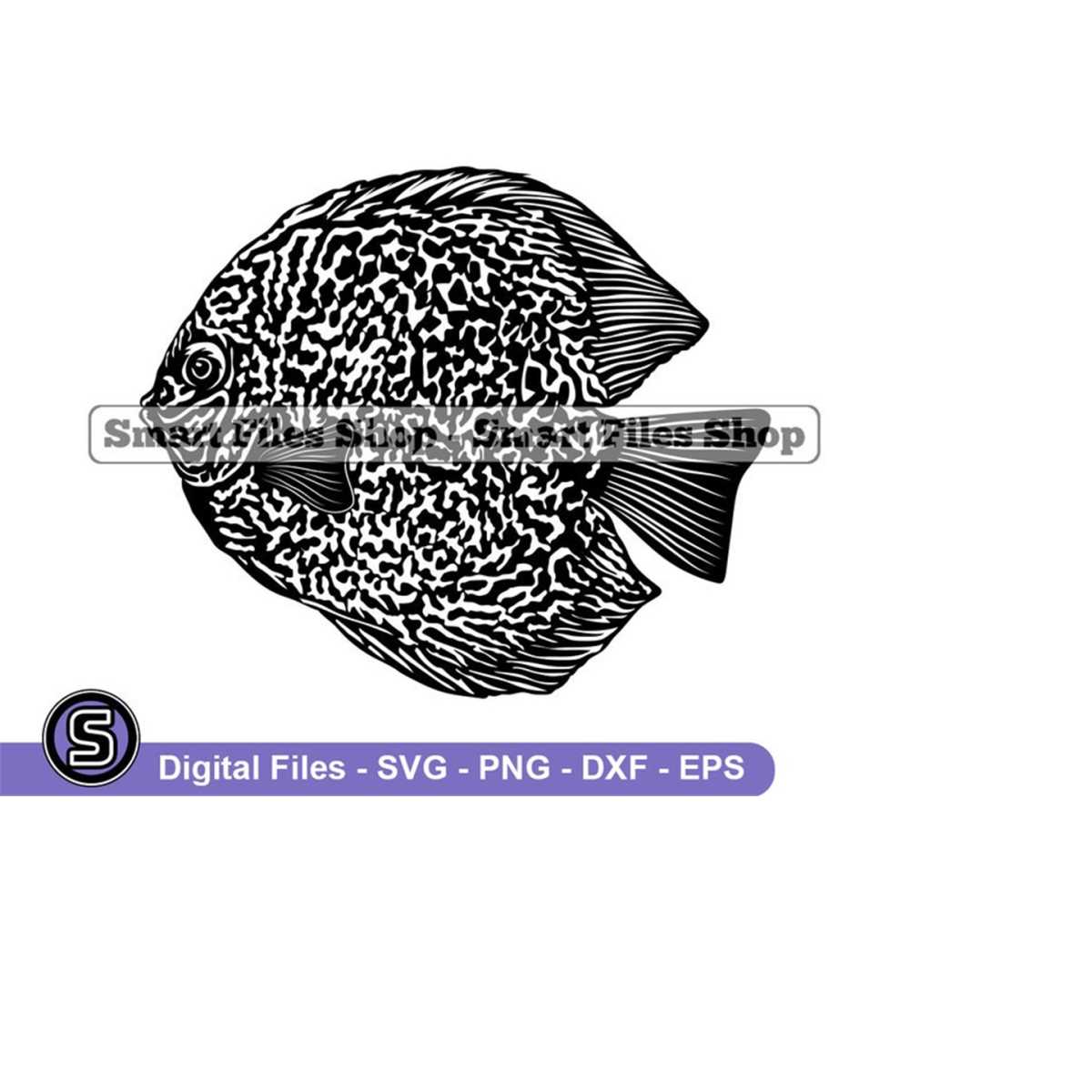 Discus Fish Svg, Aquarium Fish Svg, Fish Svg, Pet Fish Svg, | Inspire ...