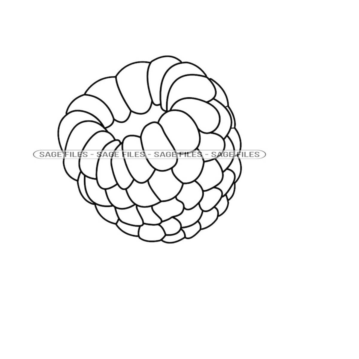 Raspberry Outline SVG, Raspberry SVG, Fruit Svg, Raspberry C - Inspire ...