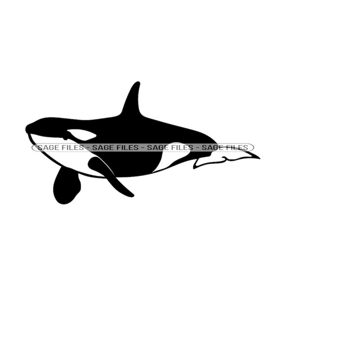 Killer Whale 9 SVG, Orca SVG, Killer Whale Clipart, Orca Cli - Inspire ...