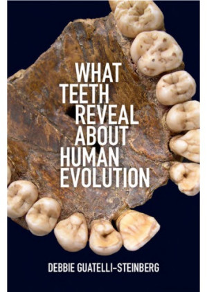 What teeth reveal about human evolution 1 | Inspire Uplift