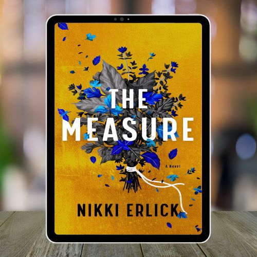 The Measure by Nikki Erlick | Inspire Uplift