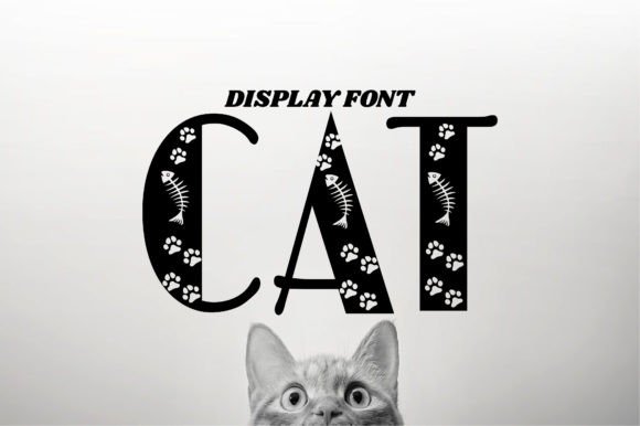 Cat Font | Inspire Uplift