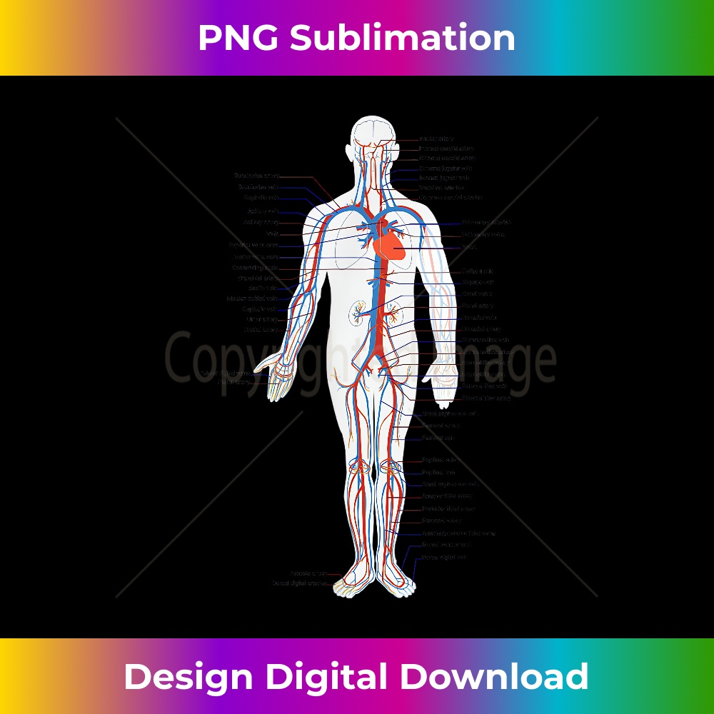 Circulatory System Anatomy Chart Arteries Veins - Edgy Subli | Inspire ...