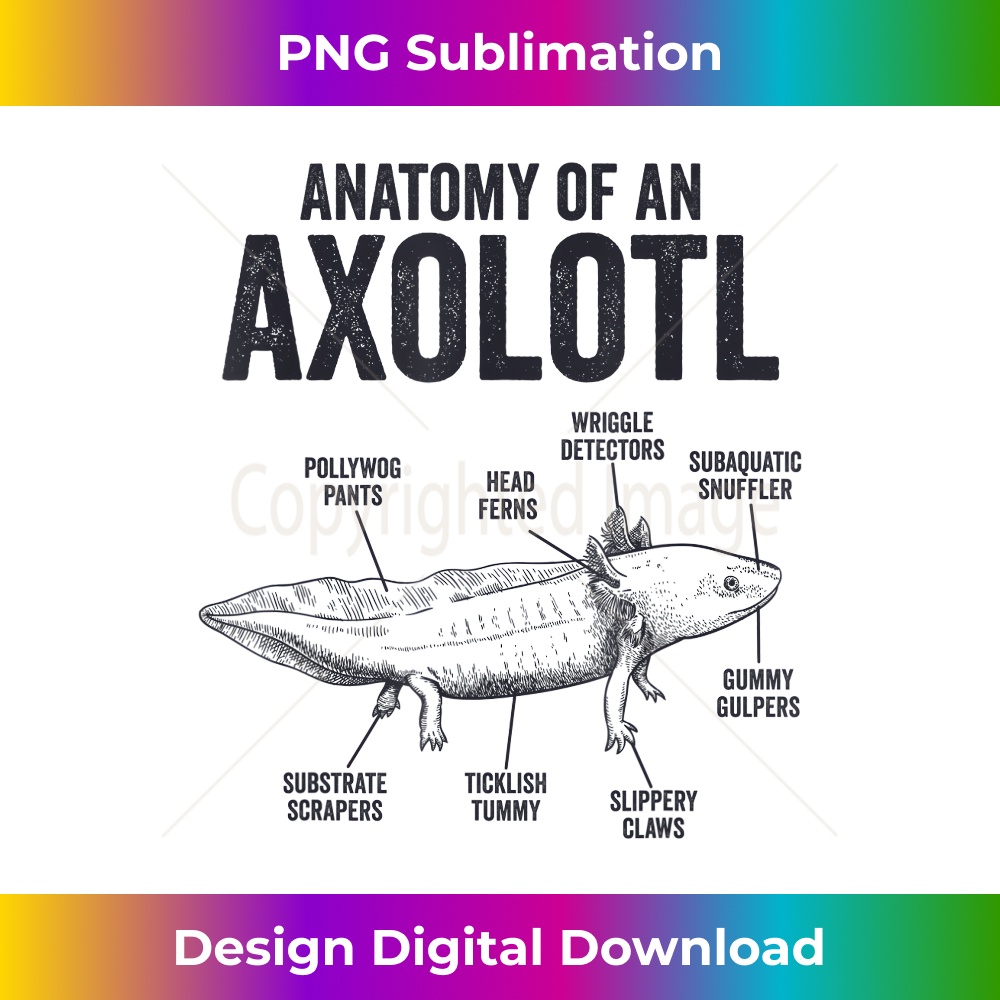 Anatomy of An Axolotl Funny Biology Diagram Science Axolotl | Inspire ...