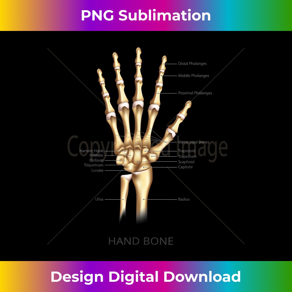 Funny Anatomy Hand Bone Human Anatomical Science Education - | Inspire ...