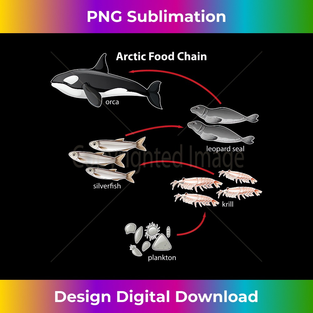 Arctic Food Chain Orca Lover Sea Ocean Marine Animal - Urban | Inspire ...