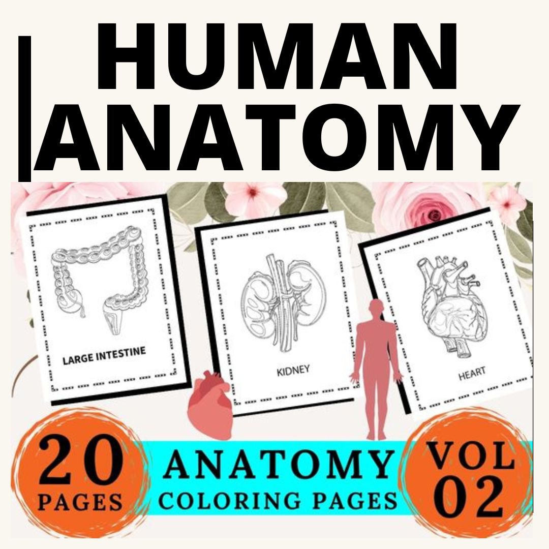 Printable Anatomy Pages 20 unique super cute Human VOL 02 | Inspire Uplift