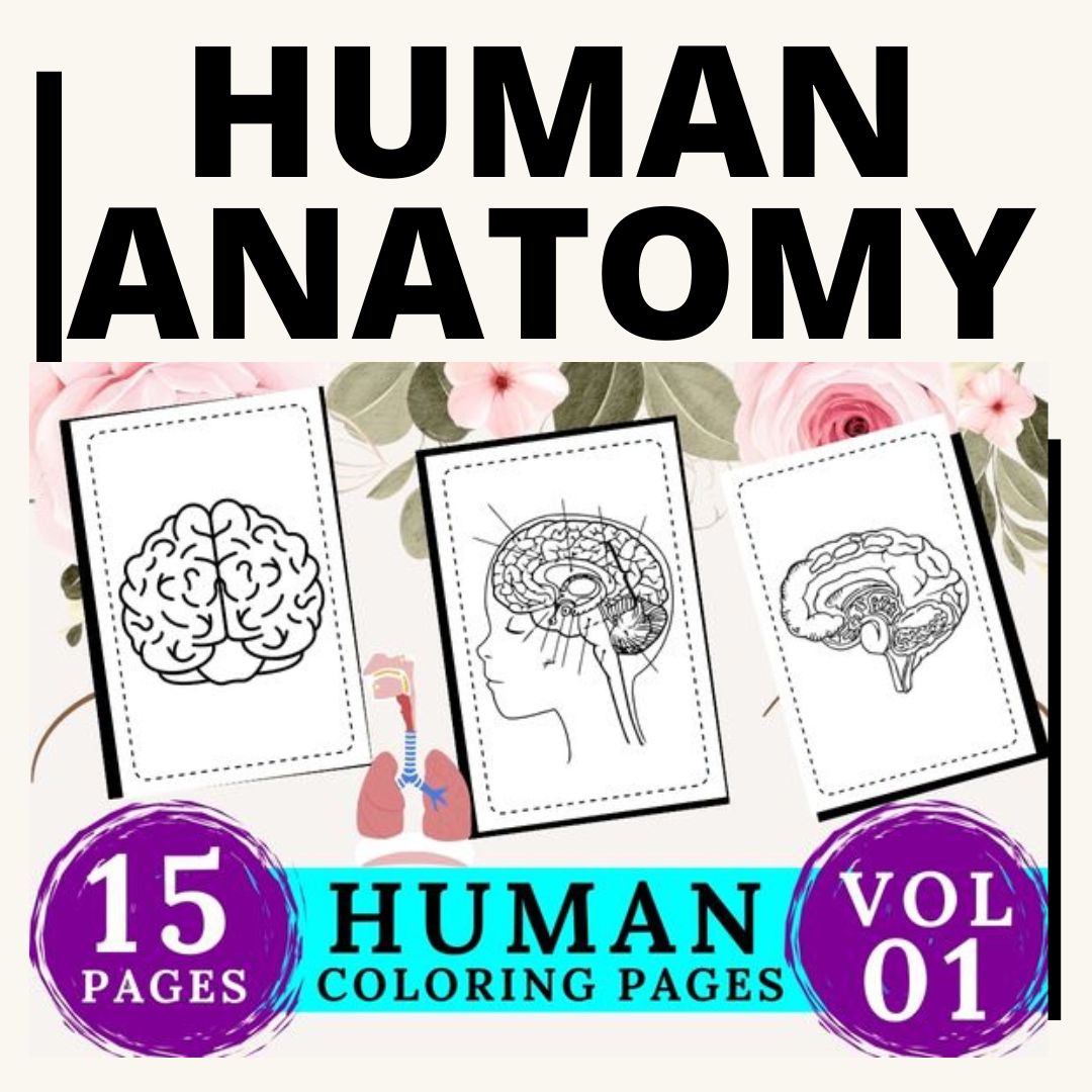 Kids Coloring Human Body 15 unique super cute Anatomy Page | Inspire Uplift