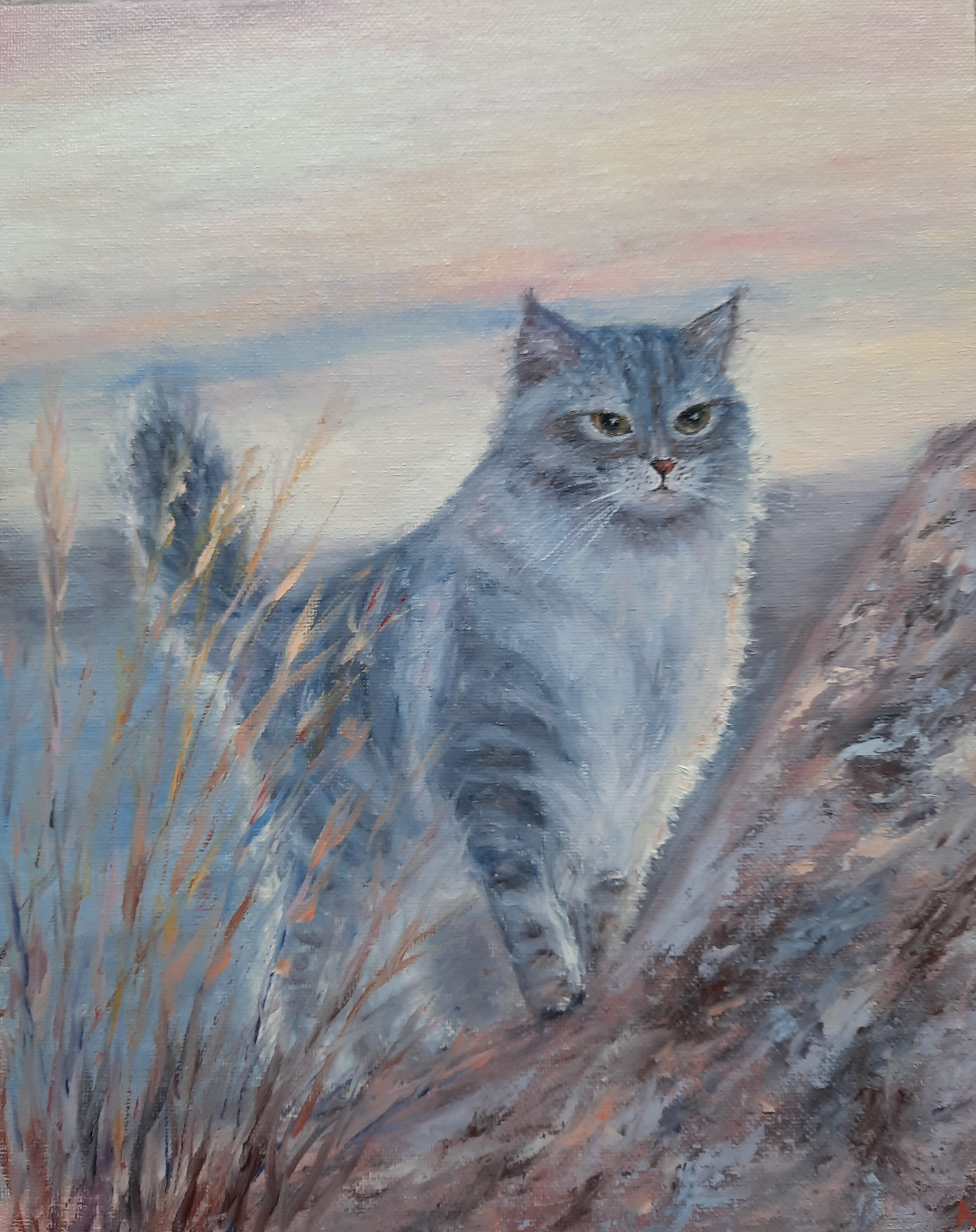 Furry Grey Cat in the Sunrise Oil Painting Original Artwork | Inspire ...