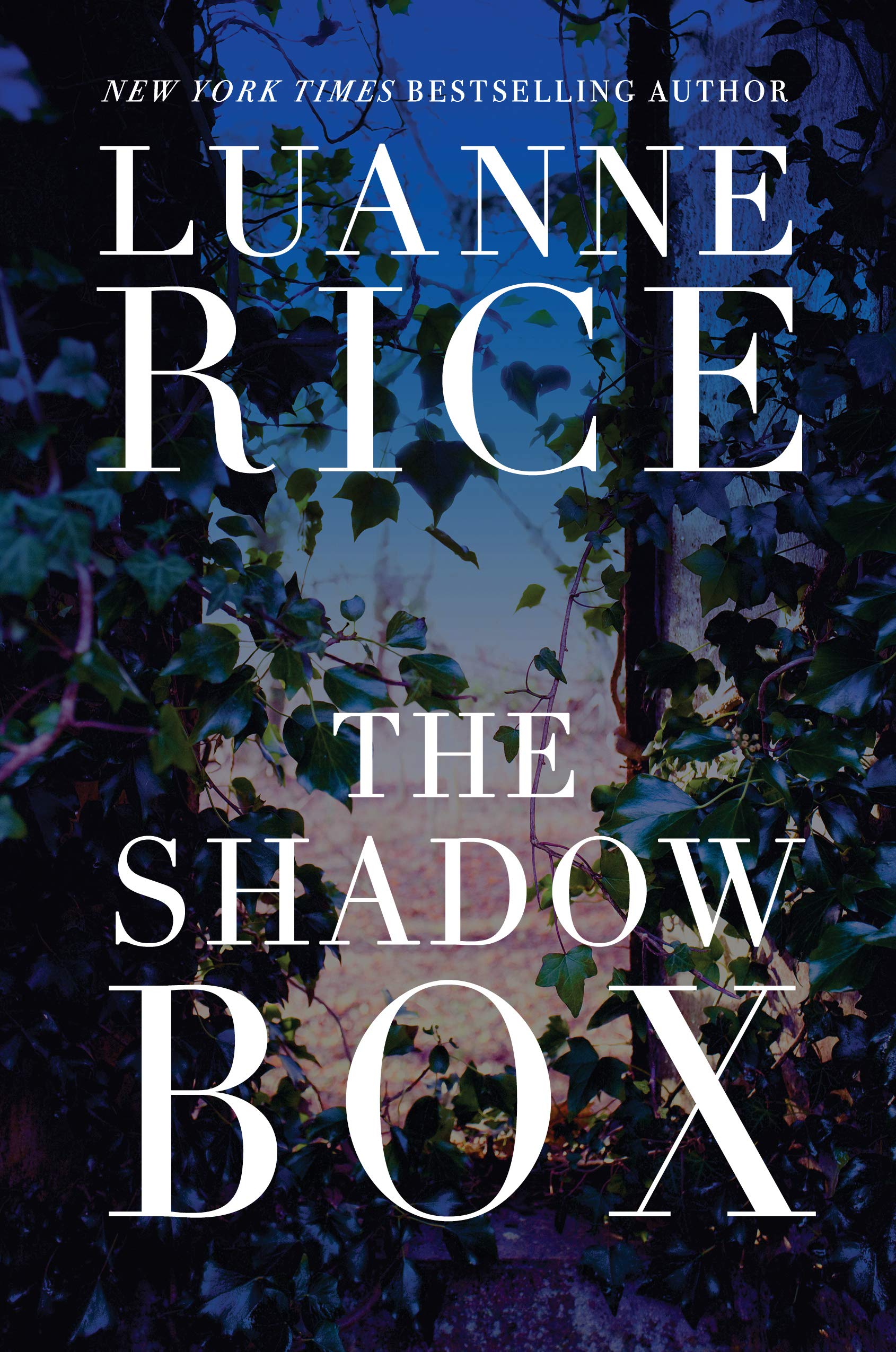 The Shadow Box By Luanne Rice, The Shadow Box Luanne Rice, T | Inspire ...
