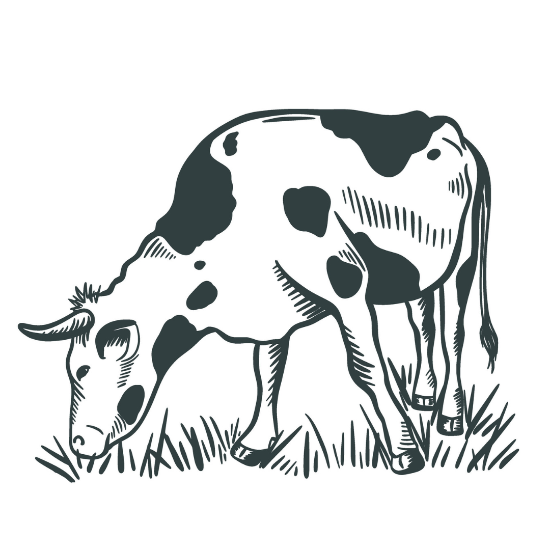 cow clipart black and white, cow clip art gif, cow clipart i | Inspire ...