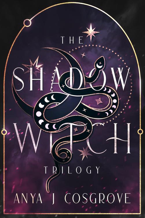 The Shadow Witch Trilogy: The Complete Series Box Set by Any | Inspire ...